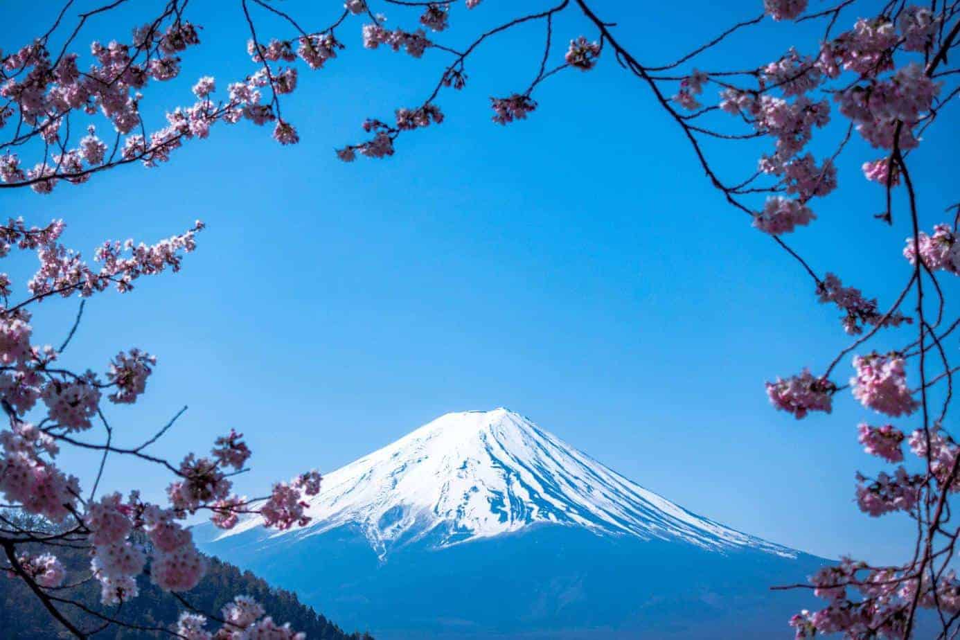 31 Teach English Online To Japanese Sites That PAY WELL OUT AND BEYOND
