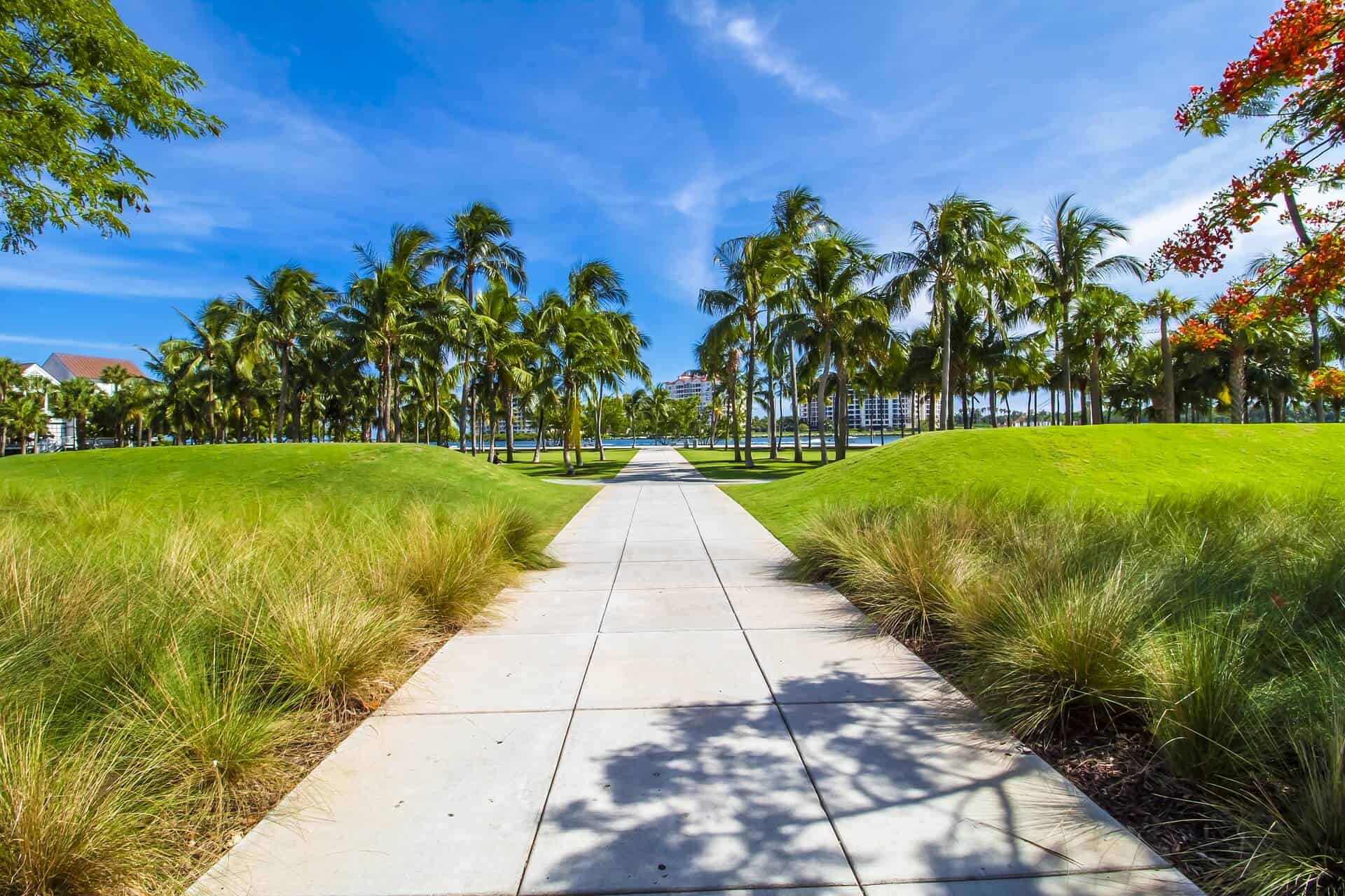 Coliving In Miami - 8 Unique + Affordable Spaces ! - OUT AND BEYOND