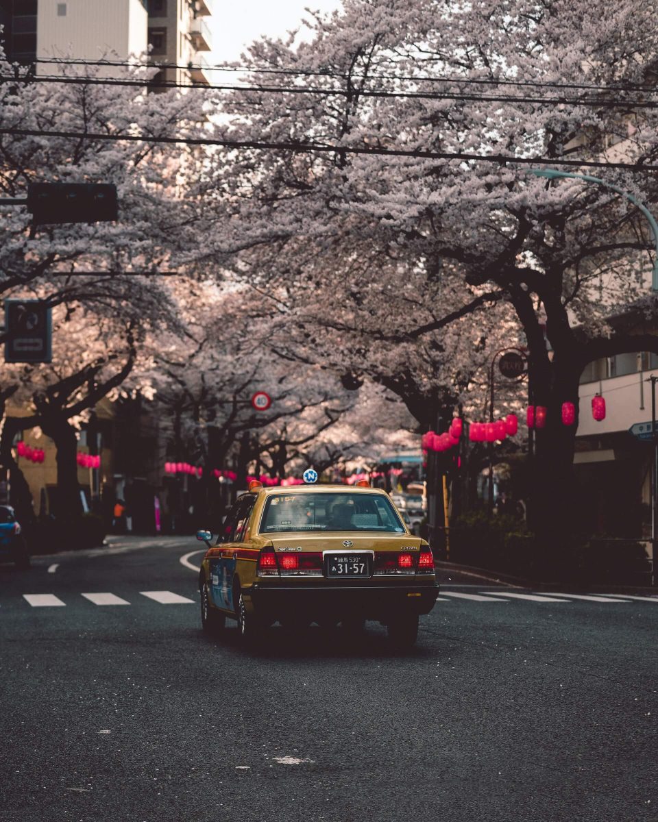 21 Easy Ways To Get Paid To Drive A Car Across The Country!