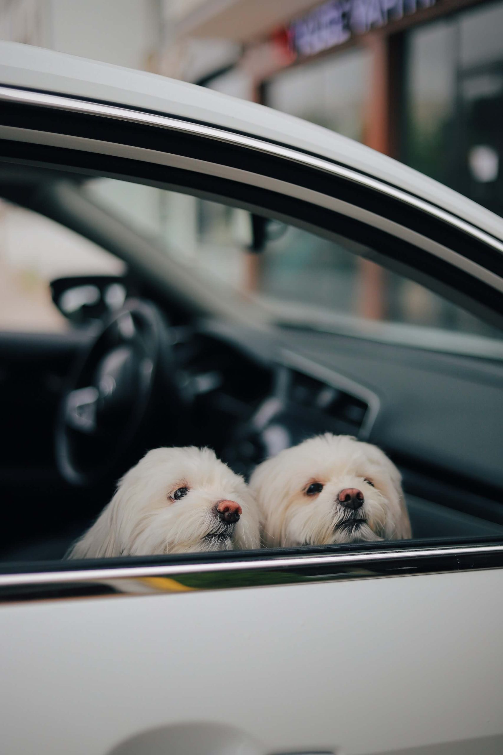 21 Easy Ways To Get Paid To Drive A Car Across The Country!