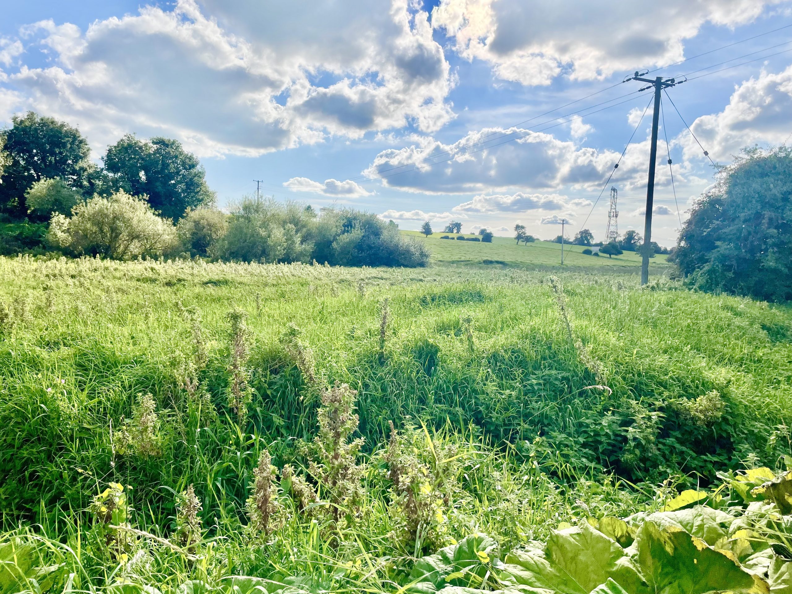 Get Paid To Move To Another Country: 16 Places You Can Go To - OUT AND ...