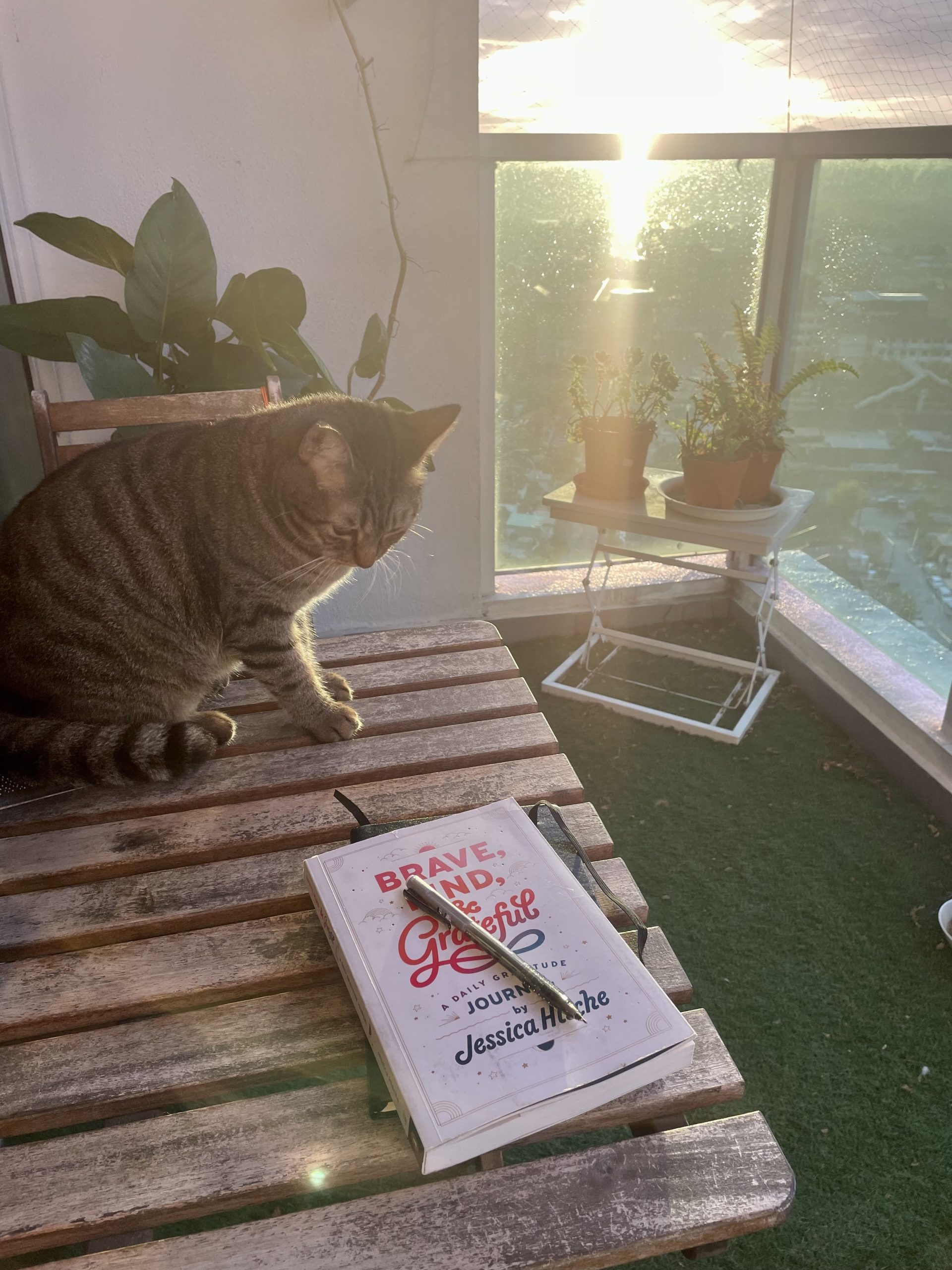 Living Without Internet At Home + Effective Tips!