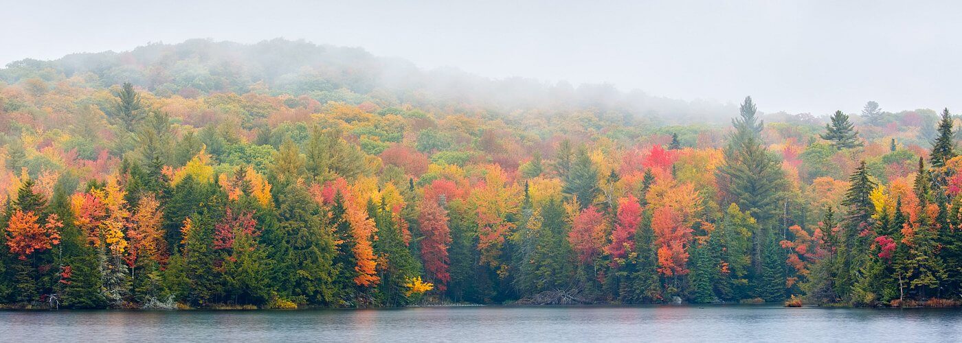 Get Paid To Move To Vermont: A Comprehensive Guide